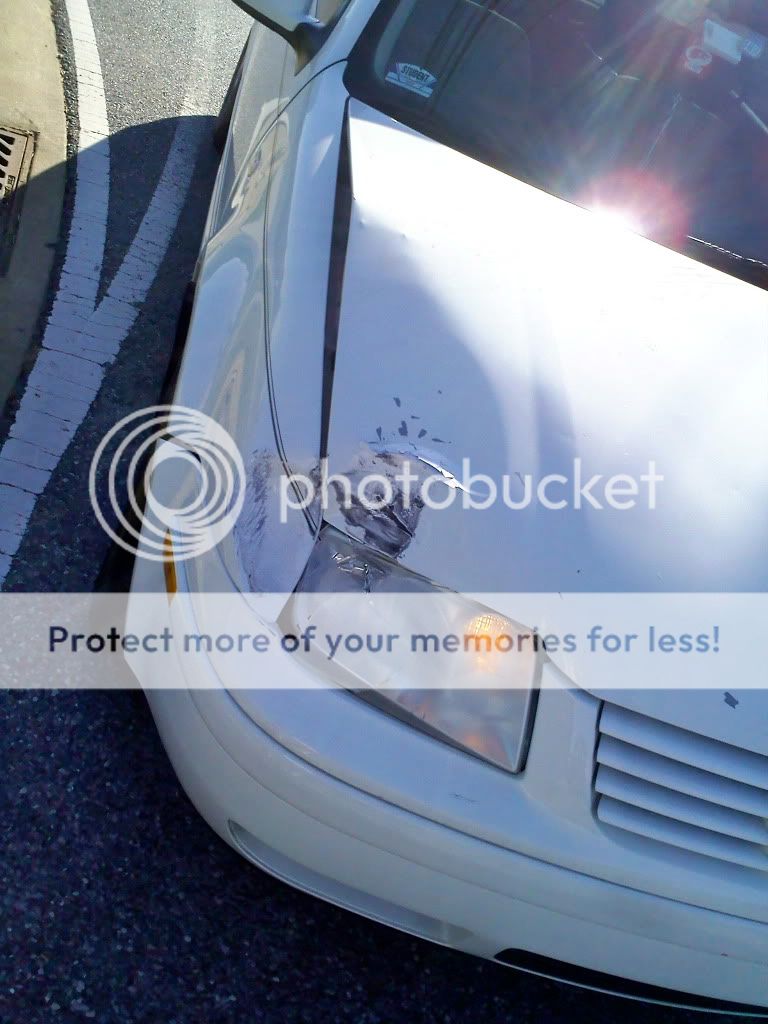 Pix of mk4 wind deflector? | VW Vortex - Volkswagen Forum