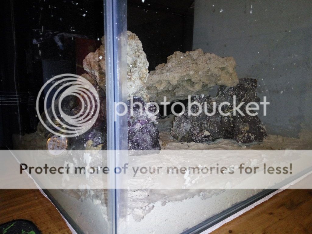 My 150L Upgrade | Marine Aquariums South Africa