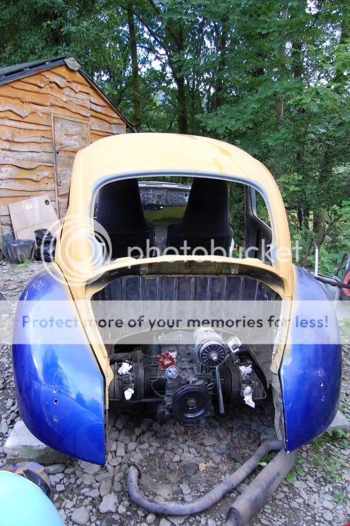 Faux Split Bug | Volkszone Forum