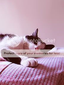 no_hidden_path — LiveJournal