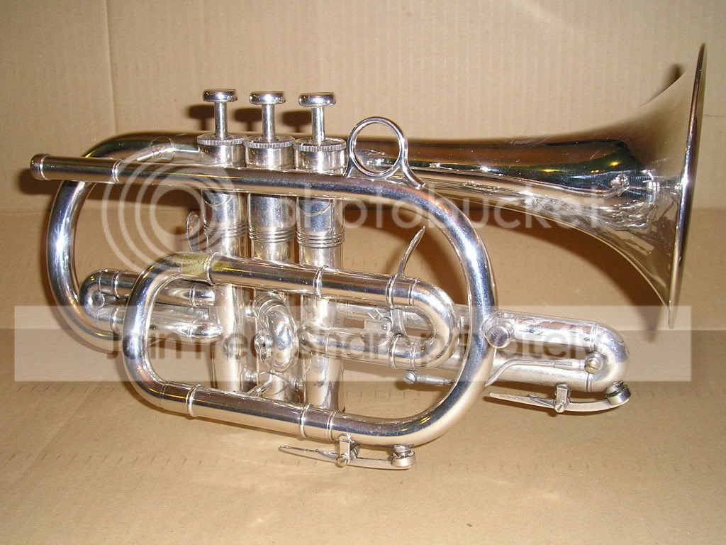Official Cool Cornet Picture Thread - View topic: Trumpet Herald forum